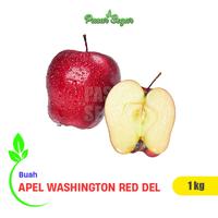 Jual Apel 1 Kg Murah & Terbaik - Harga Terbaru Oktober 2025