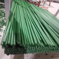 Jual Ajir Tanaman Murah & Terbaik - Harga Terbaru Juni 2025