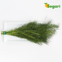 Jual Daun Dill Terdekat - Harga Murah & Grosir Juni 2024