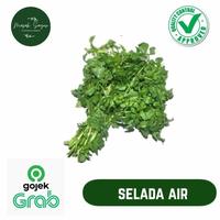 Selada Air Harga Termurah - Pilihan Favorit