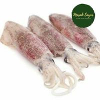 Jual Cumi Segar Terdekat - Harga Murah & Grosir Januari 2025