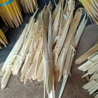 Jual Daun Lontar Murah - Harga Terbaru Februari 2023