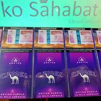 Camel Ungu dengan Rasa Fruity Juni 2023