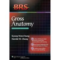 Jual Ef High Flyers Terlengkap - Harga Murah April 2024