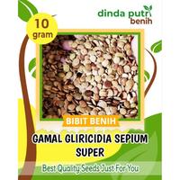 Jual Bibit Gamal Terbaik - Harga Murah Februari 2024 & Cicil 0%