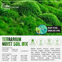 Jual Terrarium Terlengkap & Terbaik - Harga Murah Mei 2025