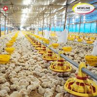 Jual Pakan Ayam Otomatis Terlengkap & Terbaik - Harga Murah April 2024