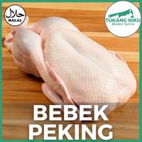 Jual Bebek Frozen Terdekat - Harga Murah & Grosir Juni 2024