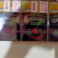 Jual Camel Purple 20 Murah - Harga Terbaru 2024