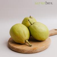 Jual Pear Xiang Lie Murah - Harga Terbaru 2024