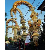 Aneka Janur Pernikahan Unik dan Murah Mei 2024