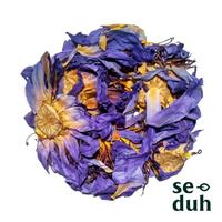 Jual Blue Lotus Flower Terlengkap - Harga Murah Februari 2024