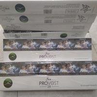 Jual Rokok Sin Provost Februari 2024 Harga Termurah - Cicil 0% 3x di ...