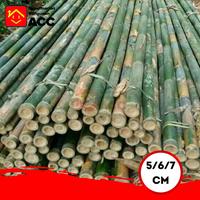 Jual Bambu Batangan Terbaik - Harga Murah November 2024 & Cicil 0%