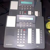 Jual Avaya Murah & Terbaik - Harga Terbaru Juni 2024