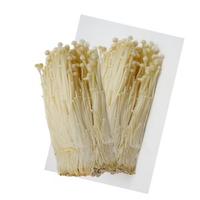 Jual Jamur Enoki Terdekat - Harga Murah & Grosir Februari 2025