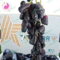 Jual Anggur Moondrop Terdekat - Harga Murah & Grosir Mei 2024