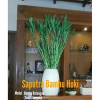 Jual Bambu Batangan Terbaik - Harga Murah November 2024 & Cicil 0%