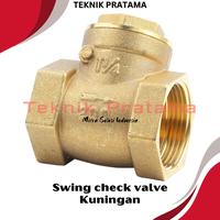 Jual Check Valve 1 Inch Terbaik - Harga Murah Februari 2025 & Cicil 0%