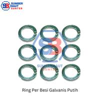 Jual Spring Washer Terlengkap - Harga Murah November 2024 & Cicil 0%