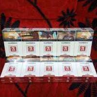 Jual Rokok Sampoerna Mild 1 Slop Terlengkap - Harga Murah & Grosir ...