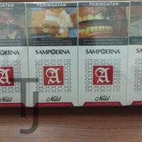 Sampoerna Mild 12, Rokok Populer yang Paling Laris!