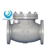 Jual Check Valve 3 Inch Terbaik - Harga Murah Mei 2024 & Cicil 0%