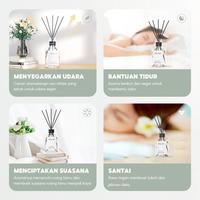 Jual Alba Sol Reed Diffuser Terbaik - Harga Murah Juni 2024 & Cicil 0%