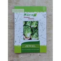 Review Mara Premium Selection - Benih Lettuce Mini Romaine Jewel 1 gr ...