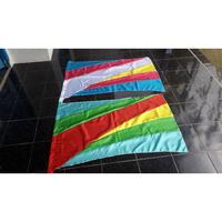 Jual Bendera Color Guard Terlengkap - Harga Murah & Grosir Juni 2024
