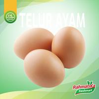 Jual Telor 1 Kg Terdekat - Harga Murah & Grosir Mei 2025