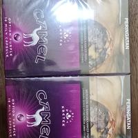 Camel Ungu dengan Rasa Fruity Maret 2025