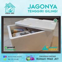 Jual Cooler Box Terlengkap - Harga Terbaru Agustus 2025 & Cicilan 0%