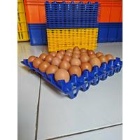Jual Krat Telur Terdekat - Harga Murah & Grosir Juli 2025