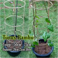Review Turus Bambu Melingkar/Ajir Penyangga Tanaman/Rambatan Tanaman ...