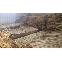 Atap Rumbia Berkualitas Tinggi - Harga Terbaik Maret 2025