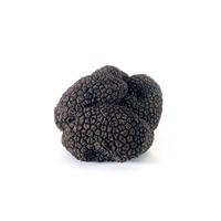 Jual Jamur Truffle Terdekat - Harga Murah & Grosir Februari 2025