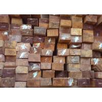 Jual Kayu Kaso 4X6 Terbaik - Harga Murah Juni 2024 & Cicil 0%