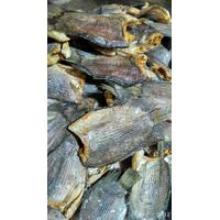 Jual Ikan Asin Sepat Terdekat - Harga Murah & Grosir Juni 2024