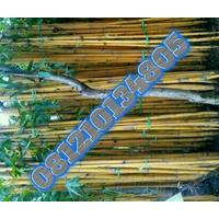 Jual Bambu Batangan Terbaik - Harga Murah November 2024 & Cicil 0%