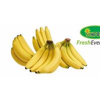 Jual Pisang Sunpride Terdekat - Harga Murah & Grosir April 2022