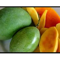 Mangga Harga Termurah & Grosir - Pilihan Terlengkap