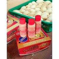 Toko Pastel WAWA Online - Produk Lengkap & Harga Terbaik | Tokopedia