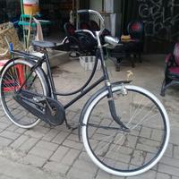 Jual Sepeda Gazelle Murah & Terbaik - Harga Terbaru April 2024