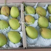 Jual Pear Xiang Lie Murah - Harga Terbaru 2024