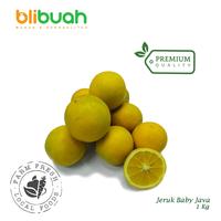 Jual Jeruk Baby Java Murah - Harga Terbaru 2021