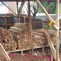 Jual Kayu Albasia Terbaik - Harga Murah September 2022 & Cicil 0%