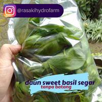 Jual Daun Basil Terdekat - Harga Murah & Grosir Mei 2025