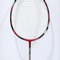 Raket Pro Ace Dengan Koleksi Terlengkap Harga Terbaru - Maret 2024