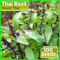 Jual Benih Basil Terdekat - Harga Murah & Grosir April 2024